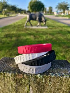 Bulls Pride – On Track Program | Wiregrass Ranch High School