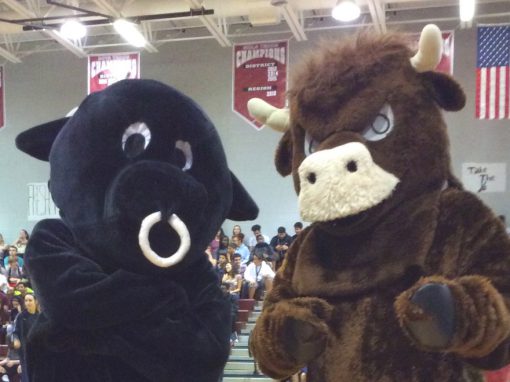 Athletics Department Main Page | Wiregrass Ranch High School