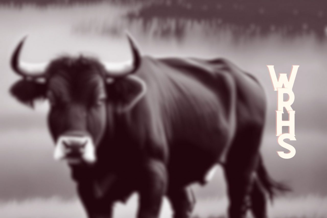 Registration | Wiregrass Ranch High School