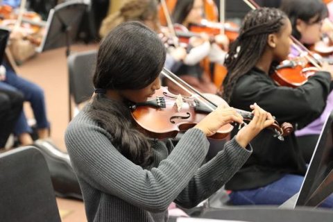 Orchestra | Wiregrass Ranch High School